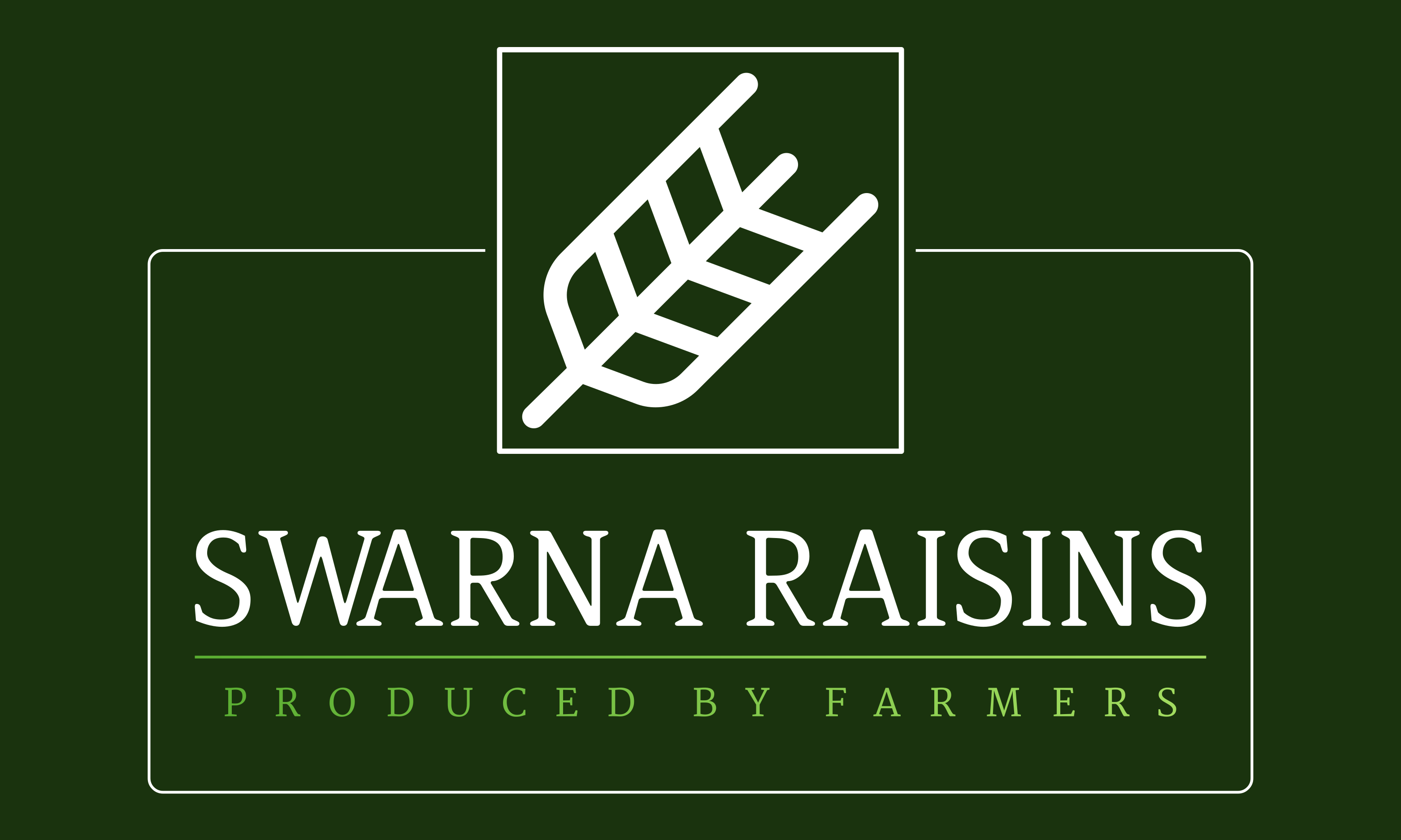 Swarna Raisins – Buy Raisins Online | Golden & Black | Premium India ...